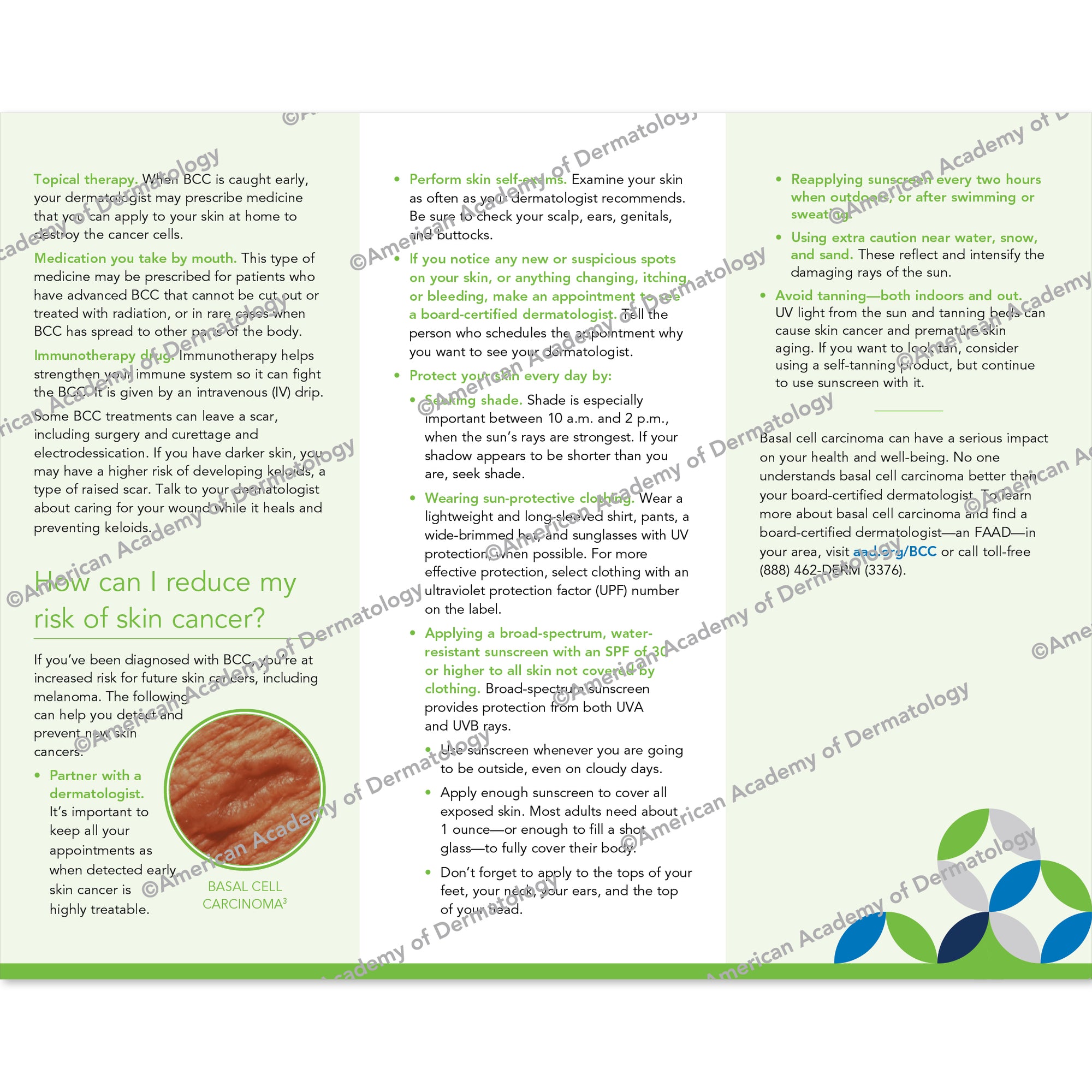 Basal Cell Carcinoma Pamphlet - AAD Shop