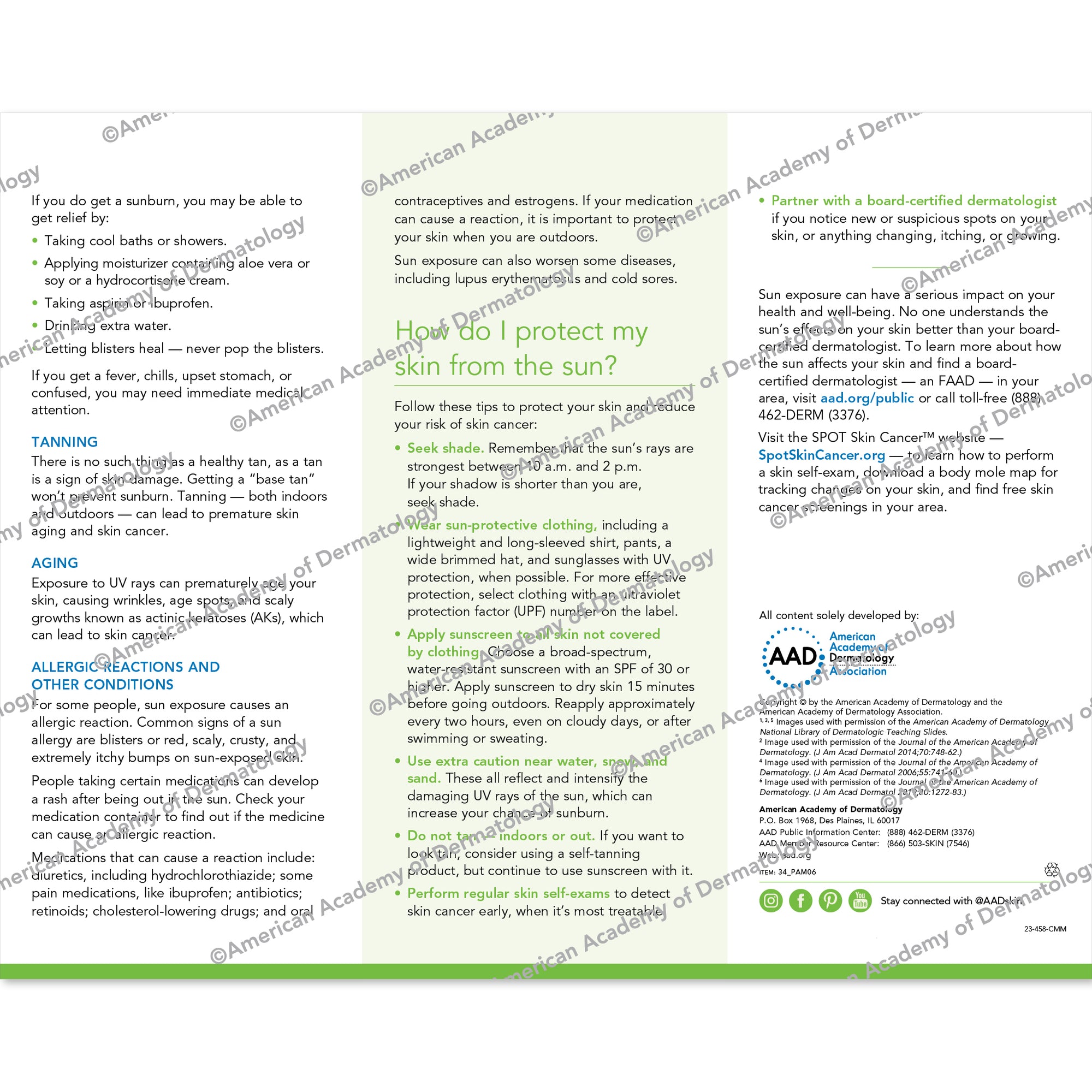 The Sun & Your Skin Pamphlet - AAD Shop