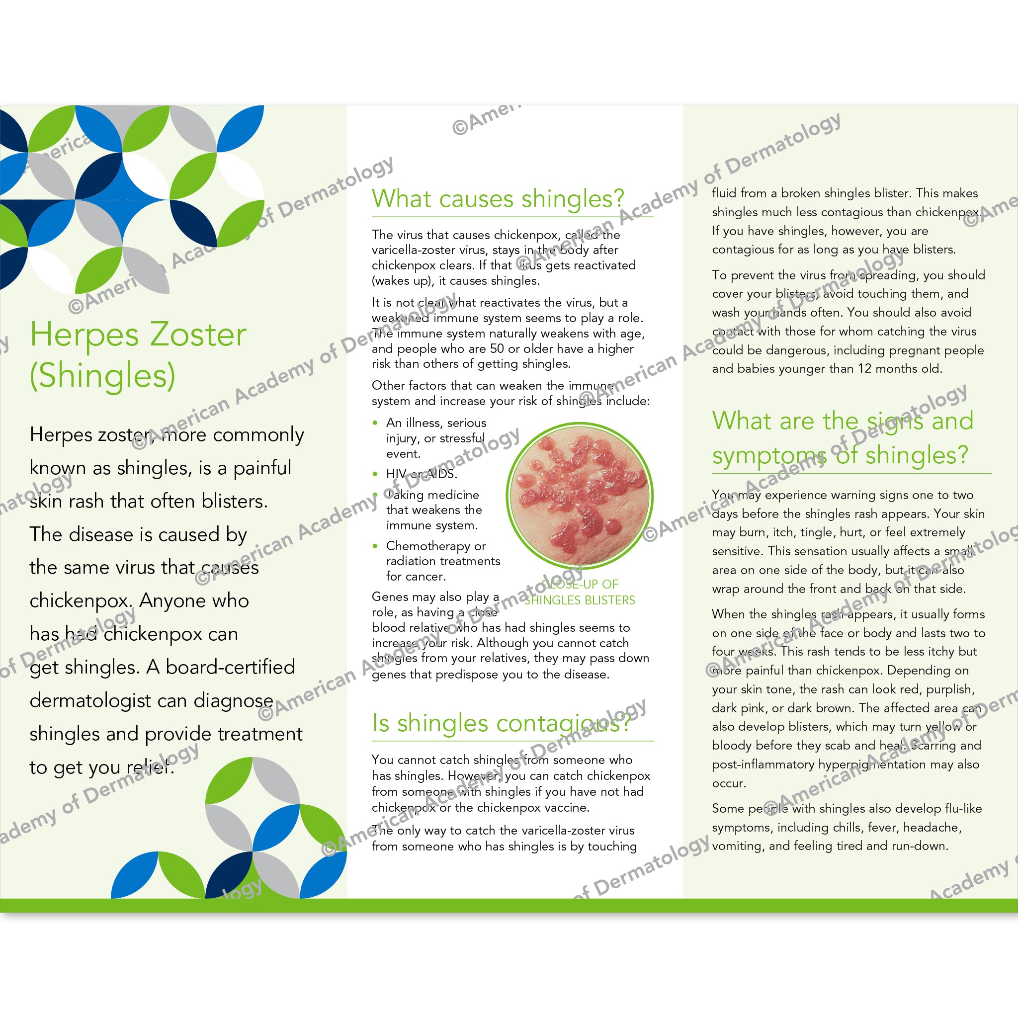 Herpes Zoster (Shingles) Pamphlet - AAD Shop